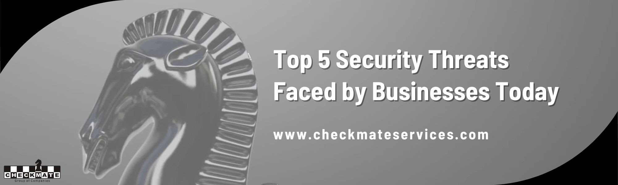 Checkmate Security & Services | Professional Security Solutions